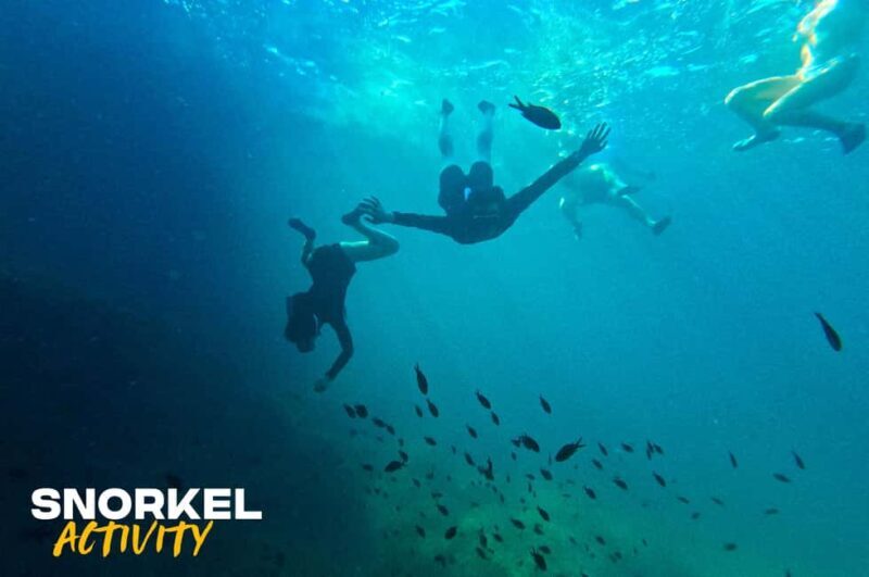 Alcudia: Kayak Tour with Snorkel & Sea Cave Swim - Key Points