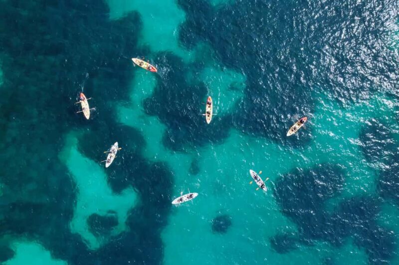 Alcudia: Kayak Tour with Snorkel & Sea Cave Swim - Who Is This Tour Best For?