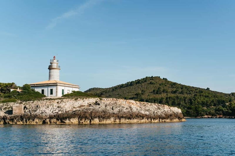 Alcudia or Can Picafort: Dolphin-Watching Cruise - An In-Depth Look at the Tour