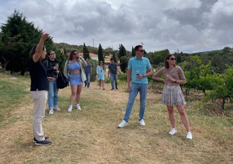 Alentejo Wine from Évora - Who Is This Tour Best For?