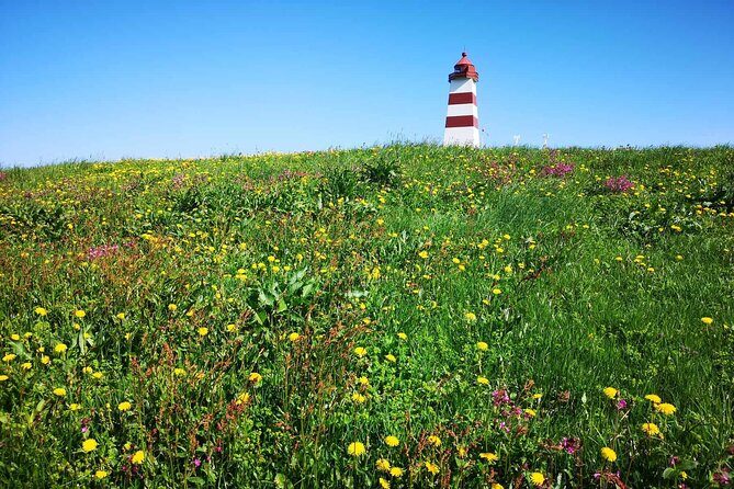 Ålesund-Aksla-Alnes-Giske-Sunnmøre museum 100 % Highlights 4.5 H - Frequently Asked Questions