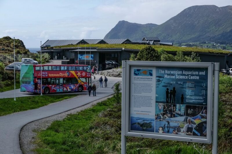 Alesund: City Sightseeing Hop-On Hop-Off Bus Tour - Final Thoughts