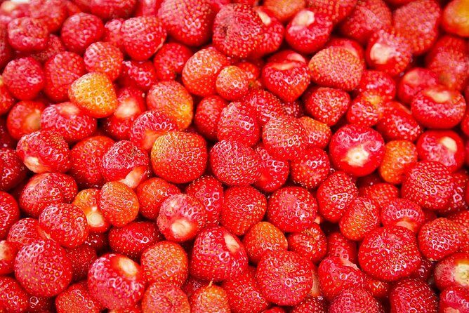 Alesund Shore Excursion: From Fjords to Trolls - Final Thoughts: Is This Tour Right for You?