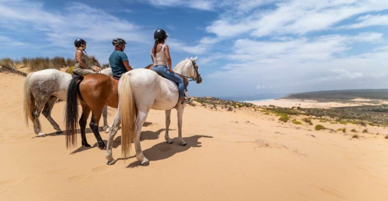 Algarve: 1-Hour Carrapateira Horseback Riding Tour - What to Expect from the Algarve Horseback Riding Experience