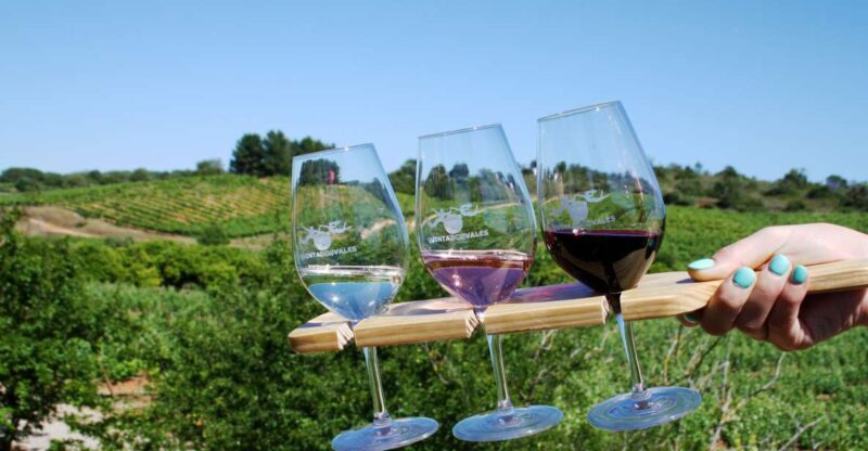 Algarve: 3 Types of Wine Tastings with Vineyard Views - FAQs