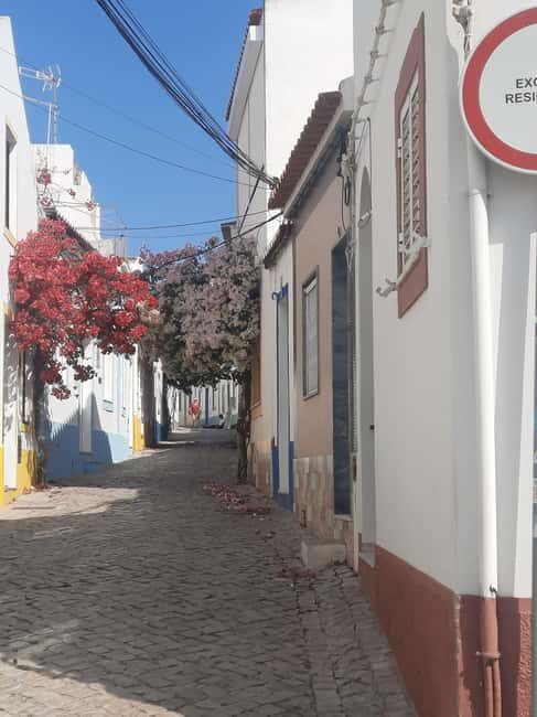 Algarve: 4x4 Safari Tour - from Coastal Wonders to Rural Treasures - Authentic Insights from Reviewers