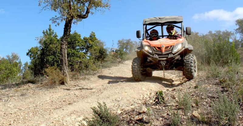 Algarve Buggy Tours - Is It Worth the Price?