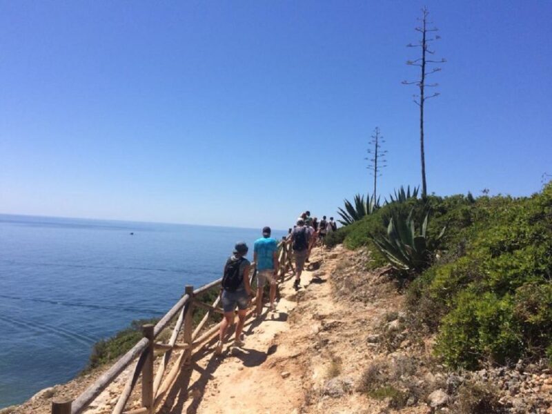 Algarve: Carvoerio and Benagil Walking Tour and Cruise - Who Is This Tour Best For?