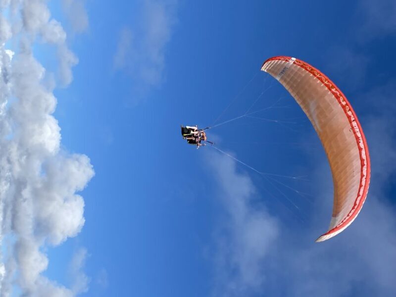 Algarve Coast: Paragliding Experience - Key Points