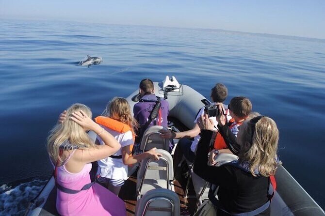Algarve Dolphin Watching & Marine Life Eco Tour - FAQ