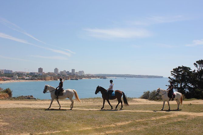 Algarve - Exclusive horseriding in Portimao (no experience required) - What Makes This Horseback Riding Tour Stand Out?