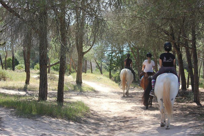 Algarve - Exclusive horseriding in Portimao (no experience required) - The Itinerary: What to Expect During Your Ride