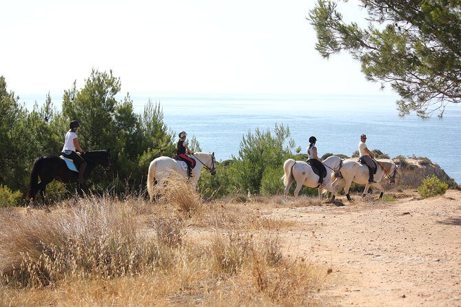 Algarve - Exclusive horseriding in Portimao (no experience required) - Pricing and Value for Money