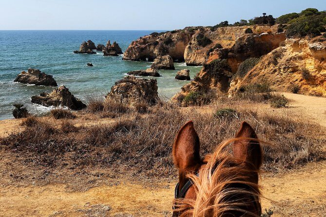 Algarve - Exclusive horseriding in Portimao (no experience required) - Who Is This Tour Best For?