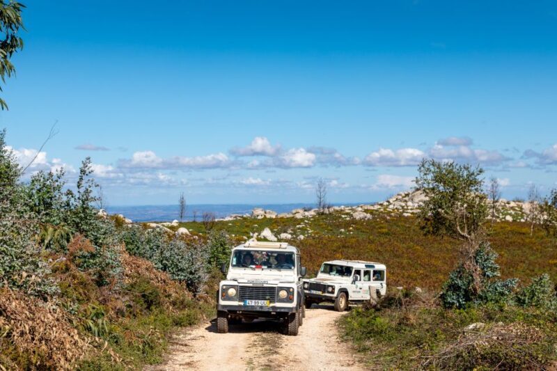Algarve: Full-Day Guided Sightseeing Tour with Lunch - An In-Depth Look at the Algarve Full-Day Guided Tour