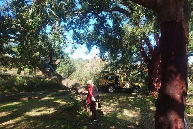 Algarve Half Day Jeep Safari (PRIVATE TOUR) - The Allure of the Algarve Half Day Jeep Safari