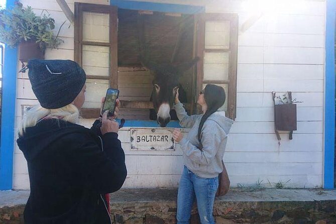 Algarve Half Day Jeep Safari (PRIVATE TOUR) - Value for Money