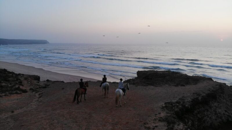 Algarve: Horse Riding Beach Tour at Sunset or Morning - Real Experiences and Insights from Reviewers