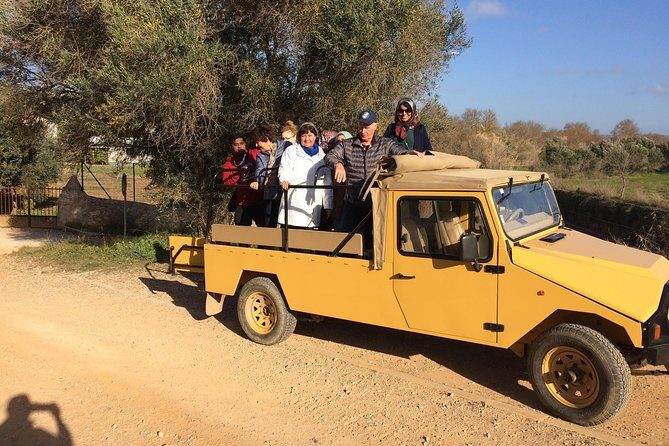Algarve Jeep Safari - Day Trip - Detailed Breakdown of the Itinerary