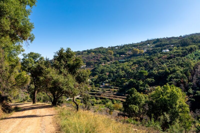 Algarve: Jeep Safari with Distillery Visit & Lunch - Overall Value & Experience