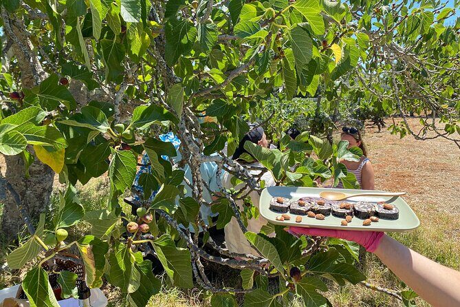 Algarve Romantic Vineyard Picnic in Carvoeiro - The Value of the Experience