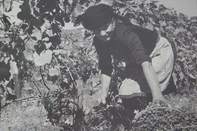 Algarve Romantic Vineyard Picnic in Carvoeiro - Practical Tips