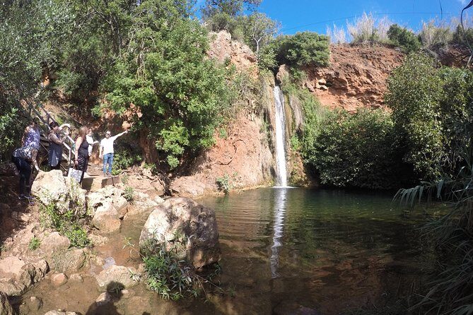 Algarve Safari - Full Day Tour from Albufeira w / lunch - Introduction: What This Tour Offers