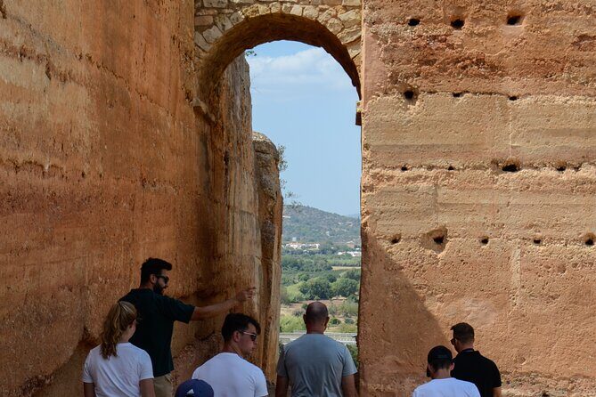 Algarve Safari - Half Day from Albufeira - Food, Snacks, and Local Flavor