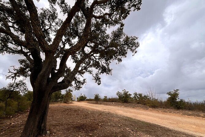 Algarve Secrets: Small-Group Cultural & Scenic Tour (Max 5 Guests) - Final Thoughts: Is This Tour Worth It?