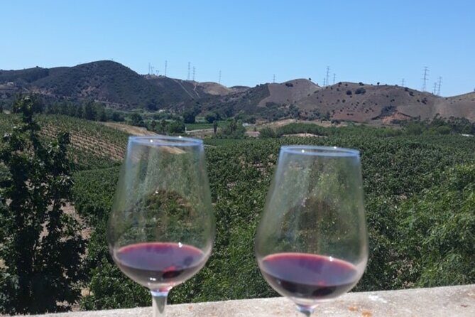 Algarve wine tour and farmer's lunch at wine estate - Who Would Love This Tour?