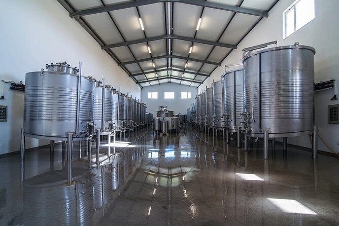 Algarve wine tour and mountain top trip with lunch or dinner at sunset time - Scenic Drive Through Monchique: A Mountain Escape