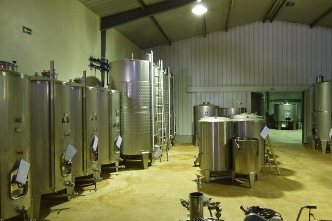 Algarve Wine Tour of Two Wine Estates - Detailed Breakdown of the Itinerary