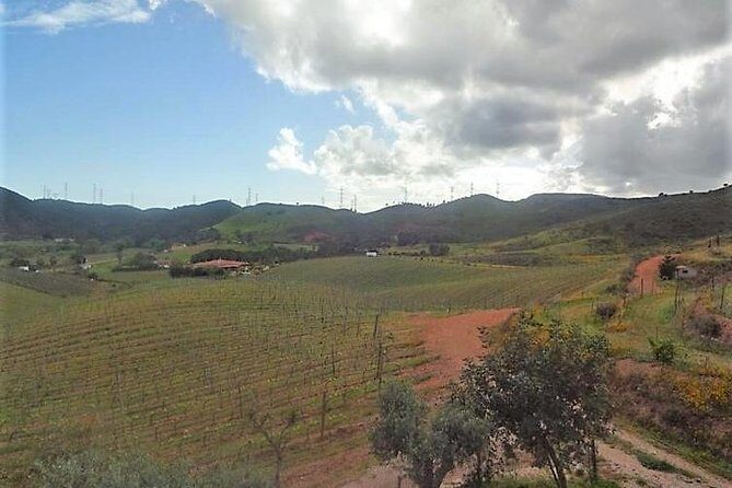 Algarve Wine Tour of Two Wine Estates - The Experience for Different Travelers