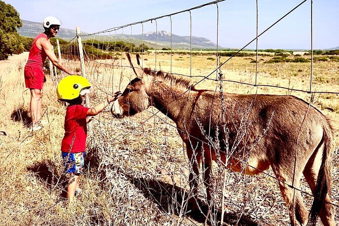 Alghero: 4-hour quad tour - Authenticity and Unique Experiences