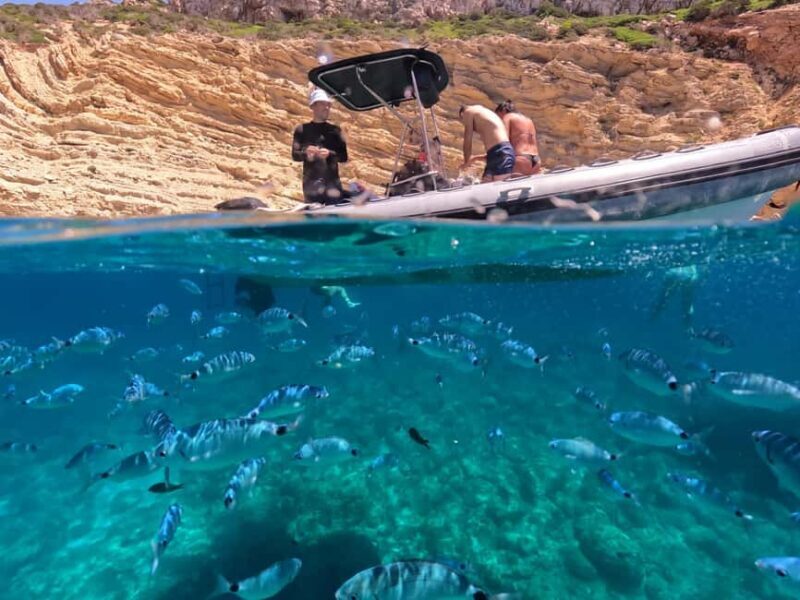 Alghero: Boat Tour and Snorkeling with Aperitif Porto Conte - Exploring the Itinerary: What You Can Expect