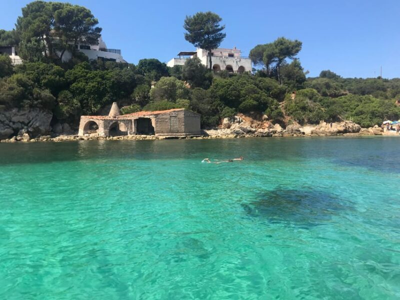 Alghero: boat tour, snorkelling, sup - Who Will Love This Tour?