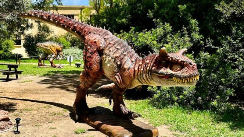 Alghero: discover dinosaurs in Porto Conte Park - FAQs