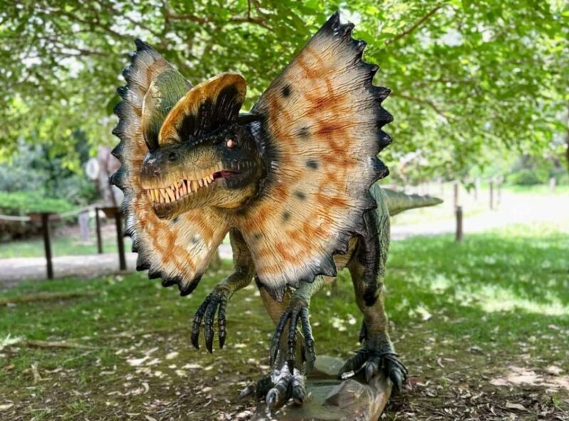 Alghero: discover dinosaurs in Porto Conte Park - Final Thoughts