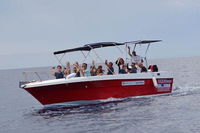 Alghero - Dolphin Watching (Spring & Autumn Tour) - Authentic Experiences from Reviews