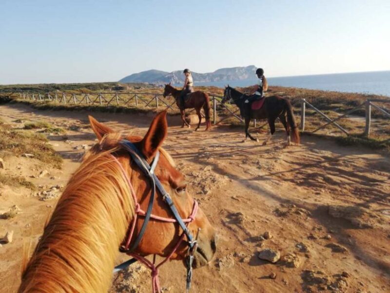 Alghero: Guided Horseback Ride at Lake Baratz & Porto Ferro - Alghero: Guided Horseback Ride at Lake Baratz & Porto Ferro