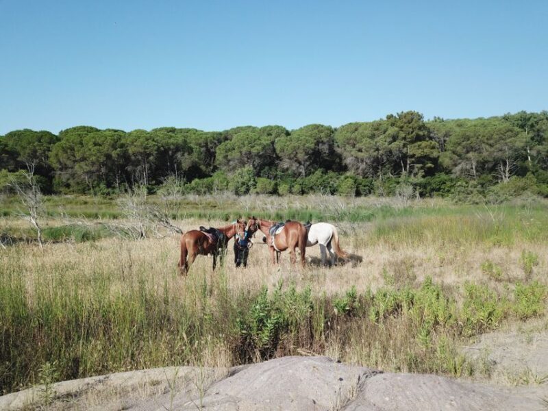 Alghero: Guided Horseback Ride at Lake Baratz & Porto Ferro - Key Points