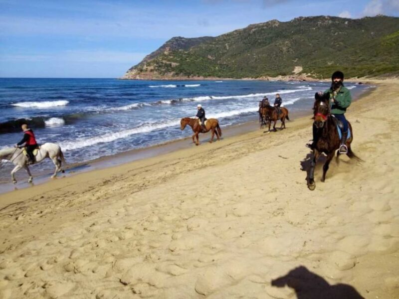 Alghero: Guided Horseback Ride at Lake Baratz & Porto Ferro - Why This Tour Is Worth Considering