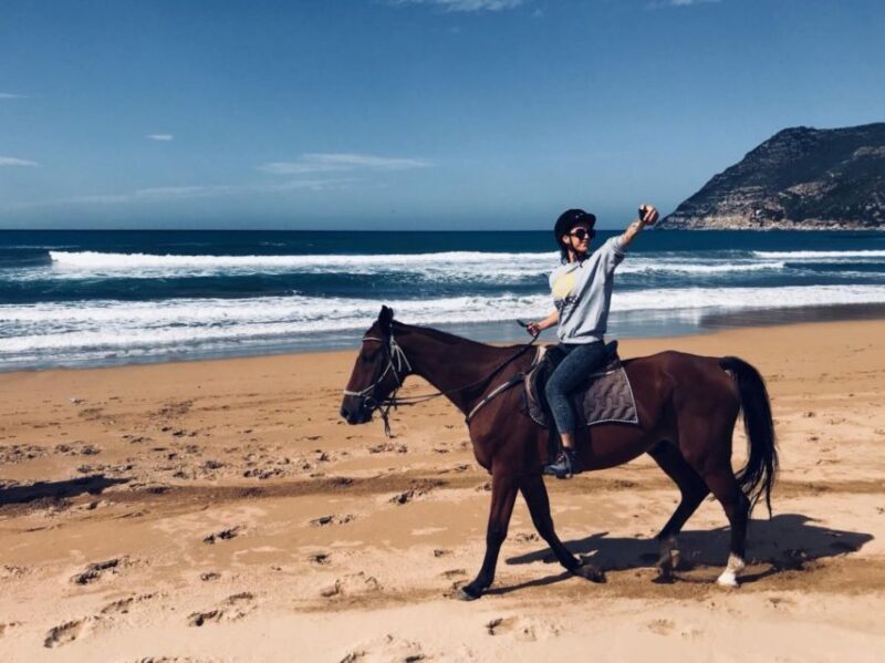 Alghero: Guided Horseback Ride at Lake Baratz & Porto Ferro - Final Thoughts