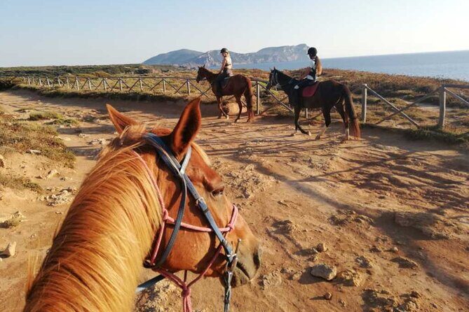 Alghero: horseback ride in Porto Ferro and Lake Baratz - Is This Tour Right for You?