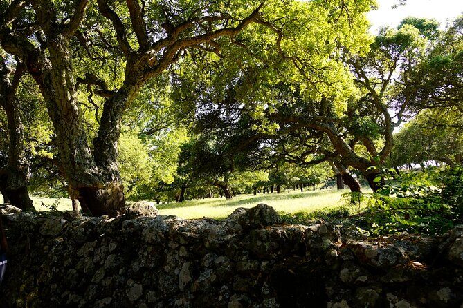 Alghero: Jeep tour to discover nature and breathtaking landscapes - Practical Tips for Booking and Participating
