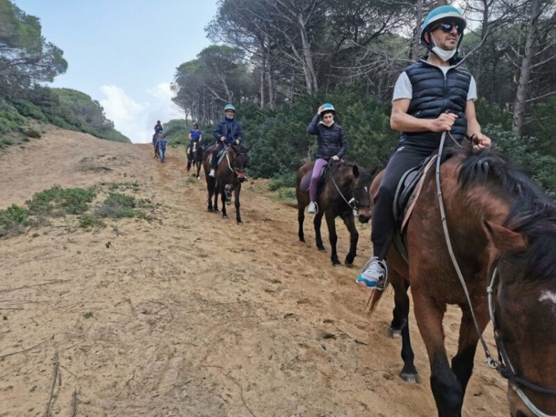 Alghero: Lake Baratz Guided Horseback Ride - The Sum Up