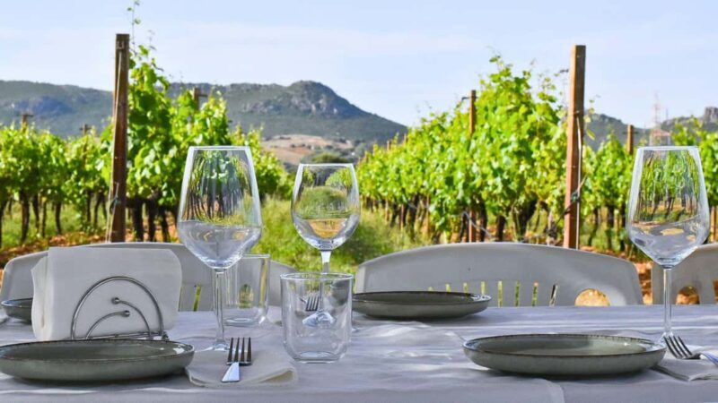 Alghero: lunch or dinner in the vineyard - Key Points