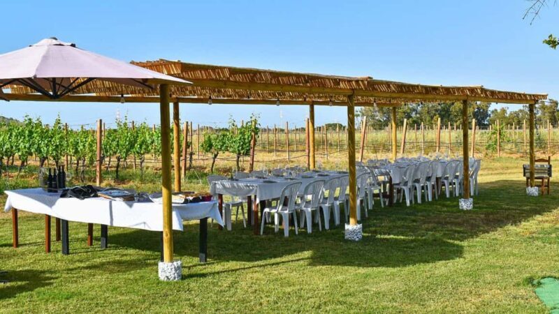 Alghero: lunch or dinner in the vineyard - Who Will Love This Experience?