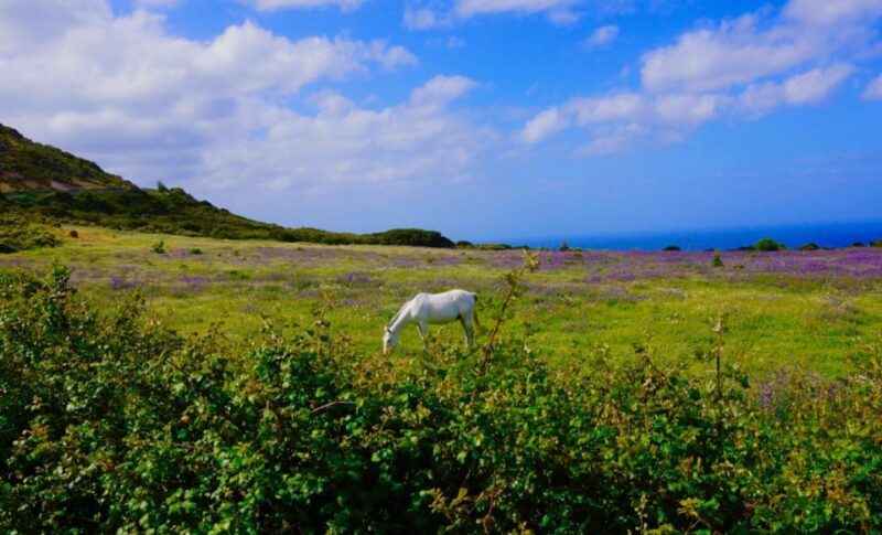 Alghero: Nature, Culture and Breathtaking Views Tour by Jeep - Exploring the Itinerary: What Makes Each Stop Special