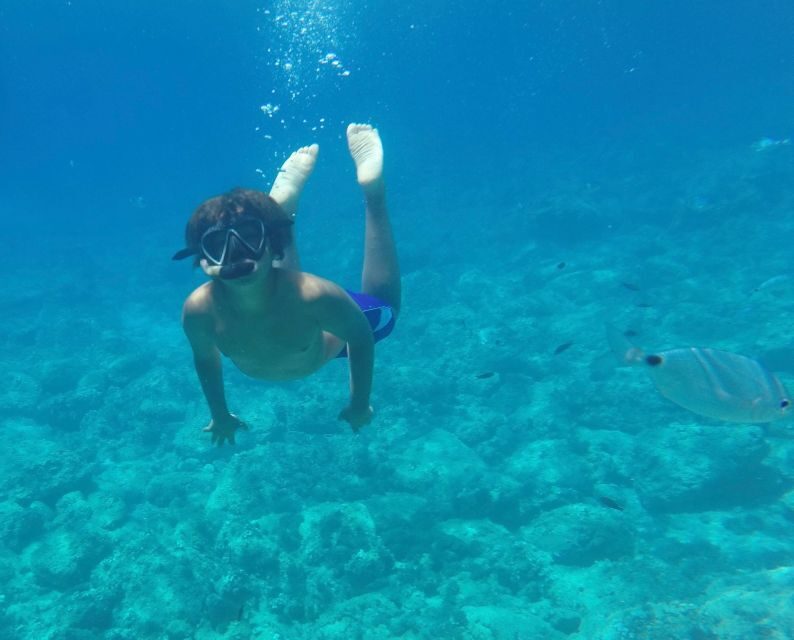 Alghero: Snorkeling Boat Tour in Porto Conte and Capo Caccia - The Practical Details